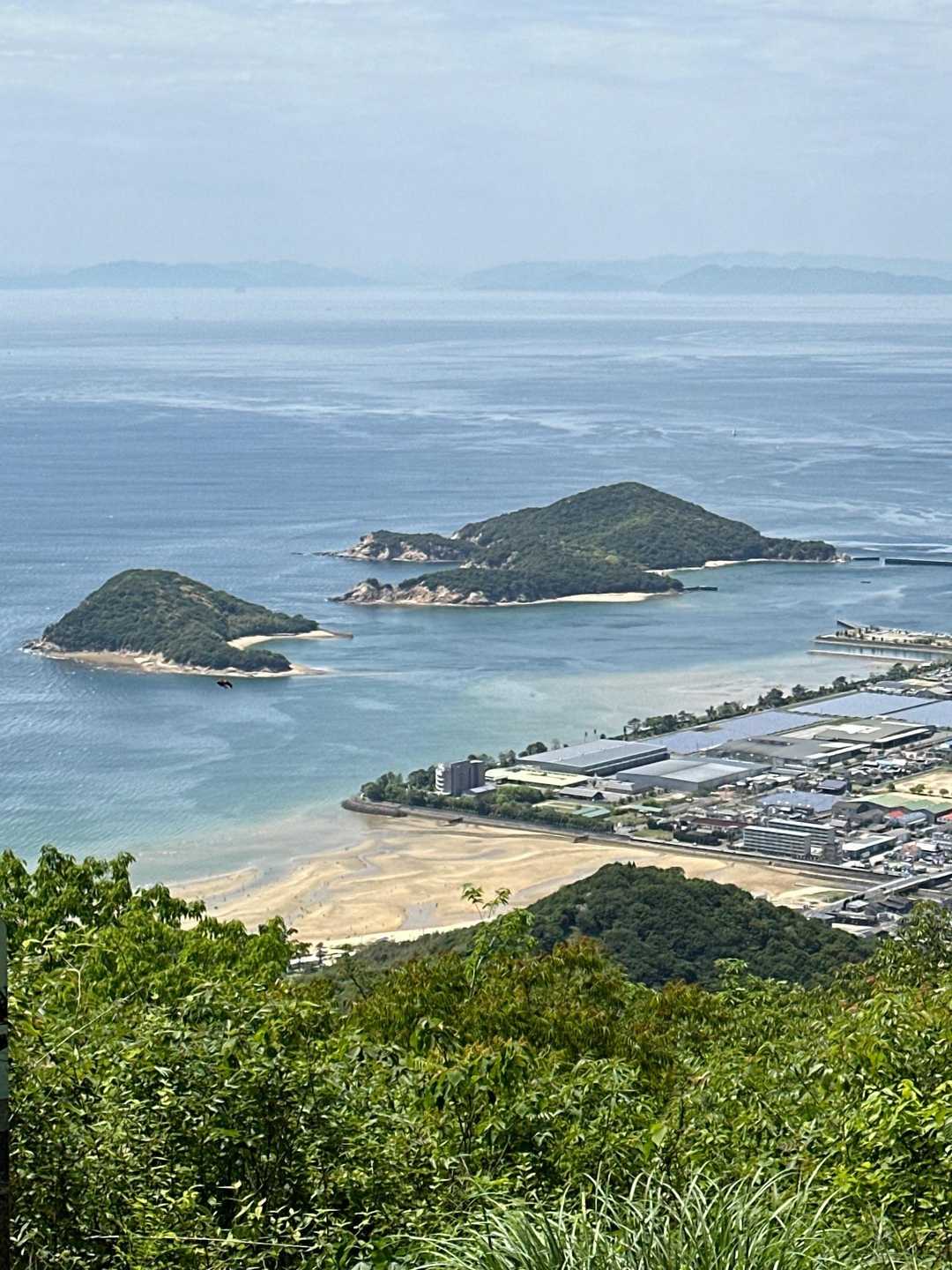 志保山東峰・志保山・七宝山・つず（七宝山系最高地） / わんこツーリストさんの稲積山・志保山・七宝山の活動データ | YAMAP / ヤマップ