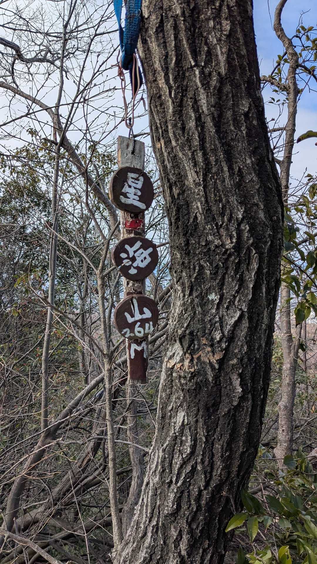 星田連山ピークハント part2 / pamaoさんの交野山・国見山の活動データ | YAMAP / ヤマップ