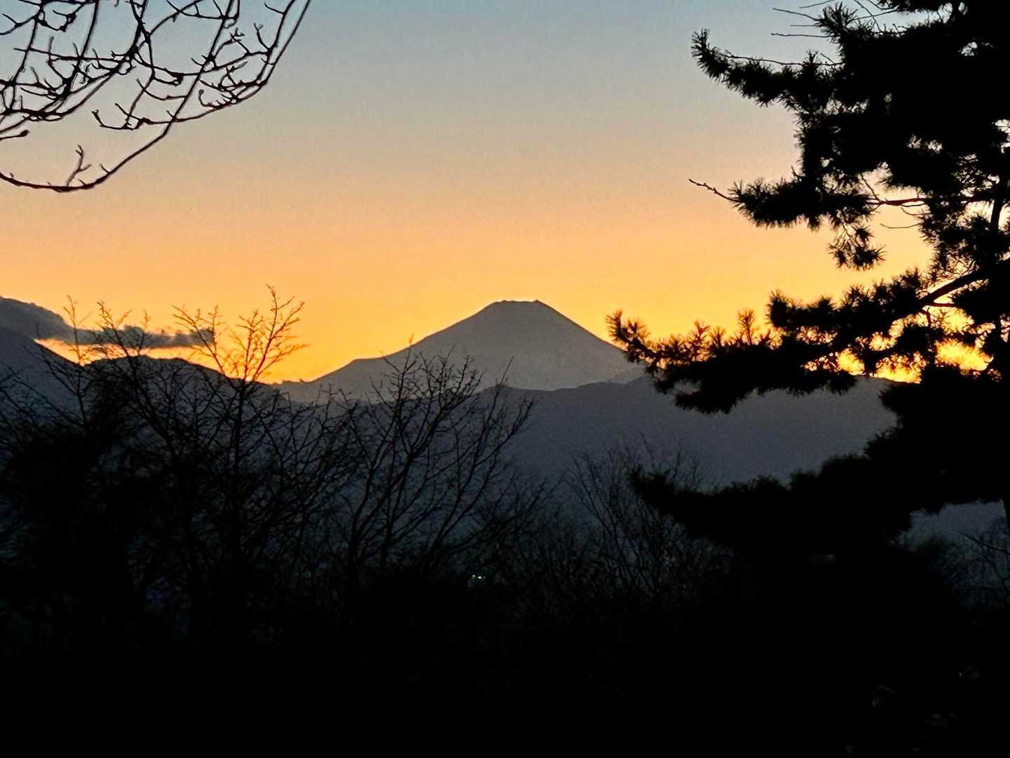 高尾トラサルディ / とら吉さんの高尾山・陣馬山・景信山の活動データ | YAMAP / ヤマップ