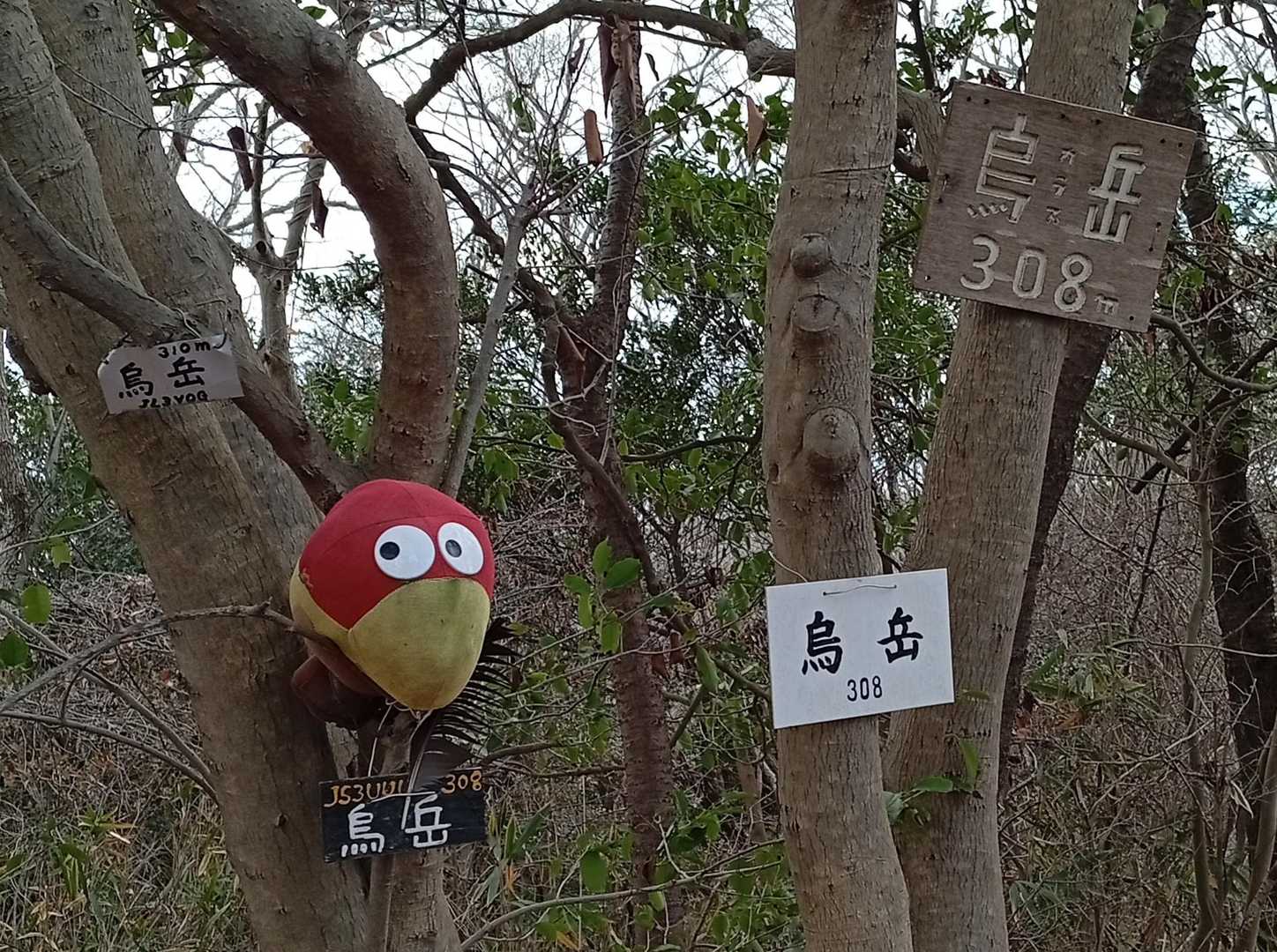 二上山(外環↗六合目↘) / 鮫島雅之さんの葛城修験エリアマップ（二上山周辺）の活動データ | YAMAP / ヤマップ