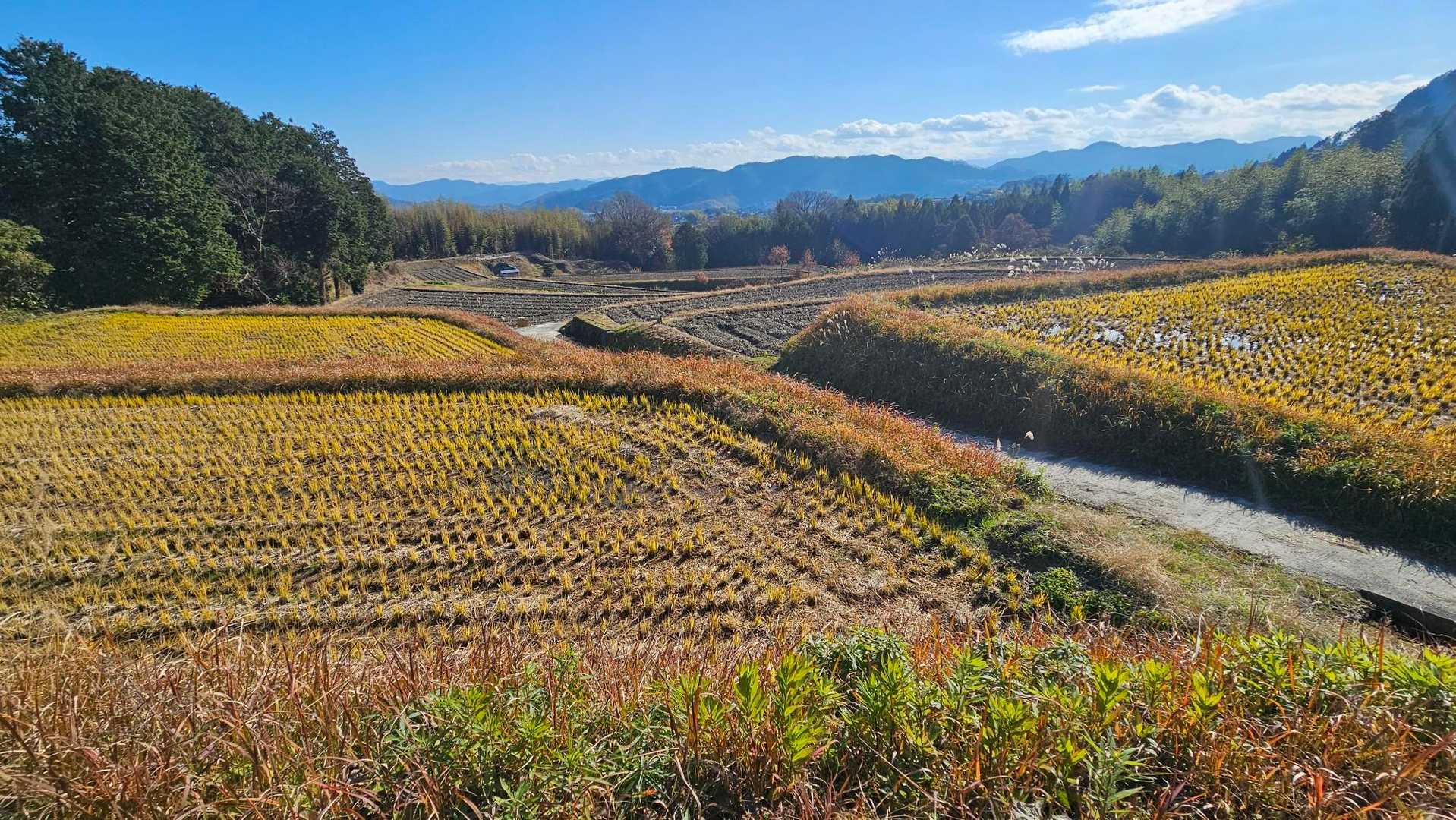 葛城修験道経塚22と23繋ぎ / takaroruさんの金剛山・二上山・大和葛城山の活動データ | YAMAP / ヤマップ