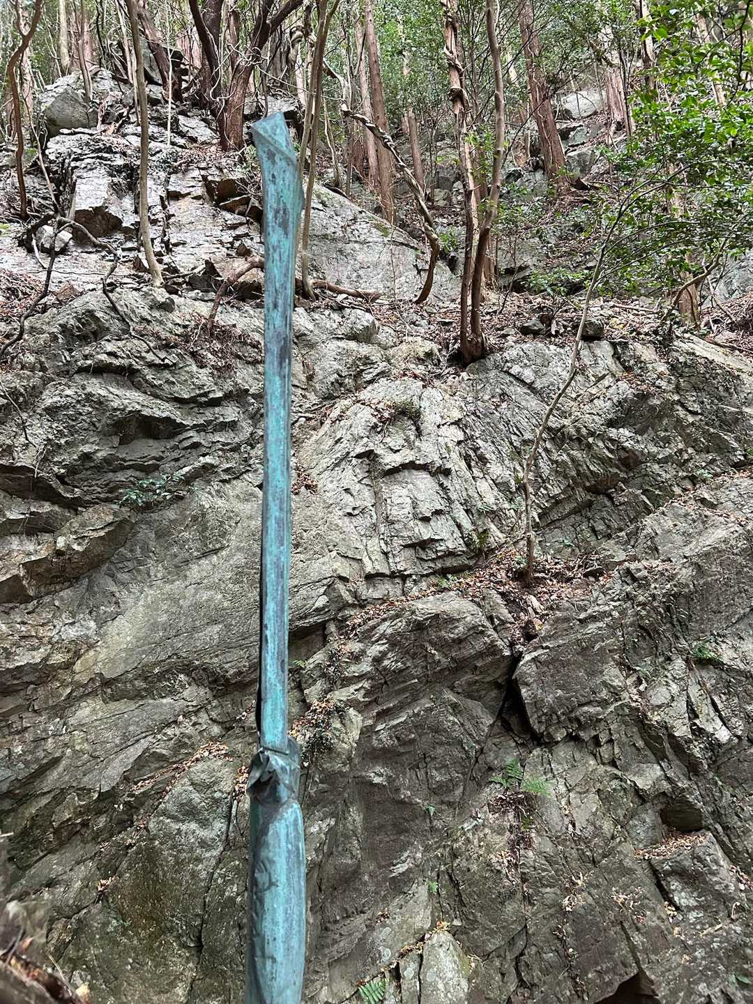 本宮山聖剣+三本杉4+一本杉 / みむめも.みじさんの本宮山・大日山・風頭山の活動データ | YAMAP / ヤマップ