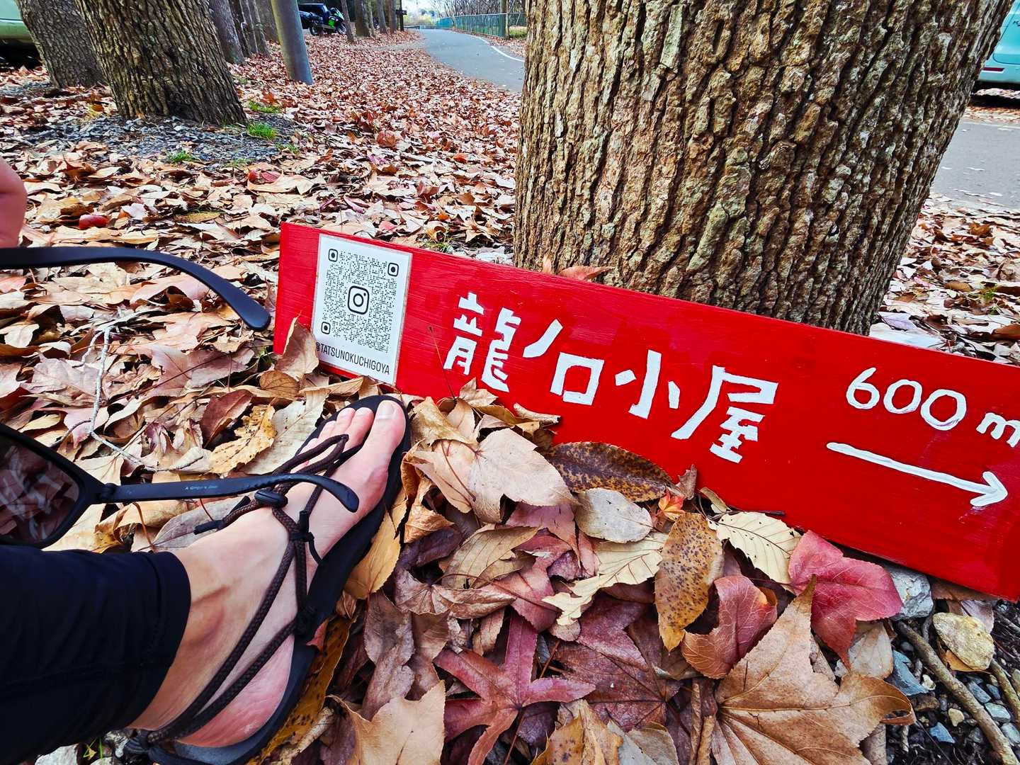 【2025-FinalP】 / y.0sh1k1さんの龍ノ口山の活動データ | YAMAP / ヤマップ