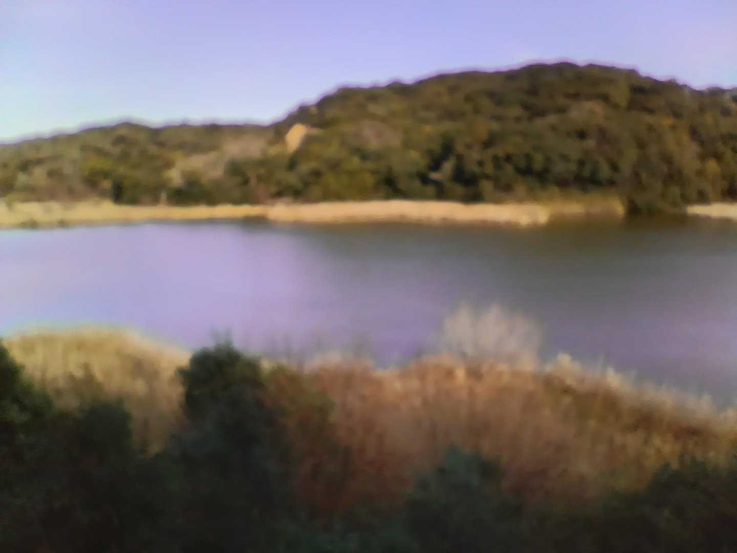 桶ケ谷沼ハイク 2025-12-30 / へたれんじゃさんのウォーキングの活動データ | YAMAP / ヤマップ