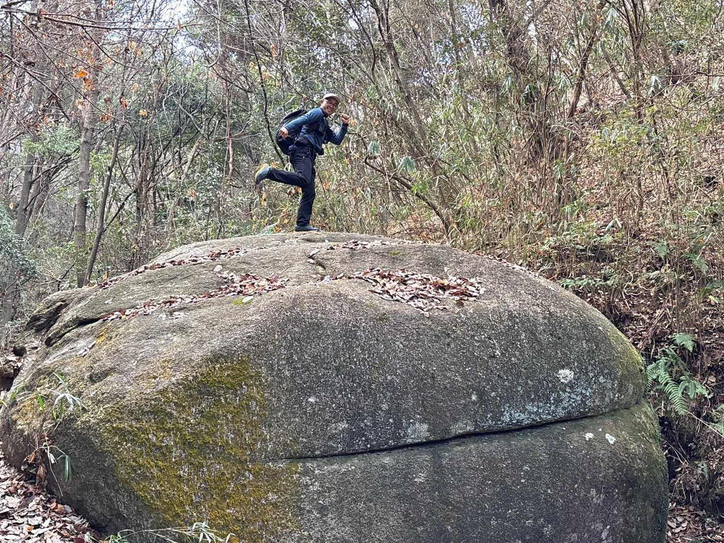 星田60座チャレンジ / ヨッシー🤓さんの交野山・国見山の活動データ | YAMAP / ヤマップ