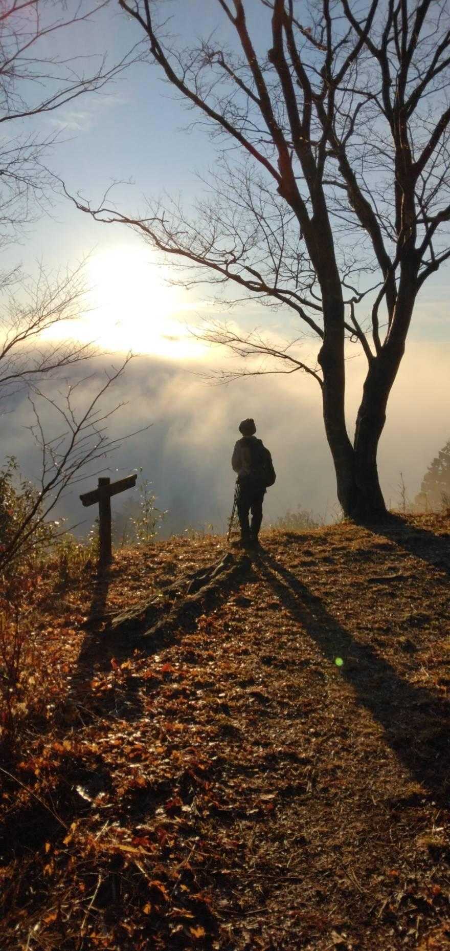 石老山・東雲山・大明神(大明神山)へ / hachacha-umemeさんの石老山・ 石砂山の活動データ | YAMAP / ヤマップ