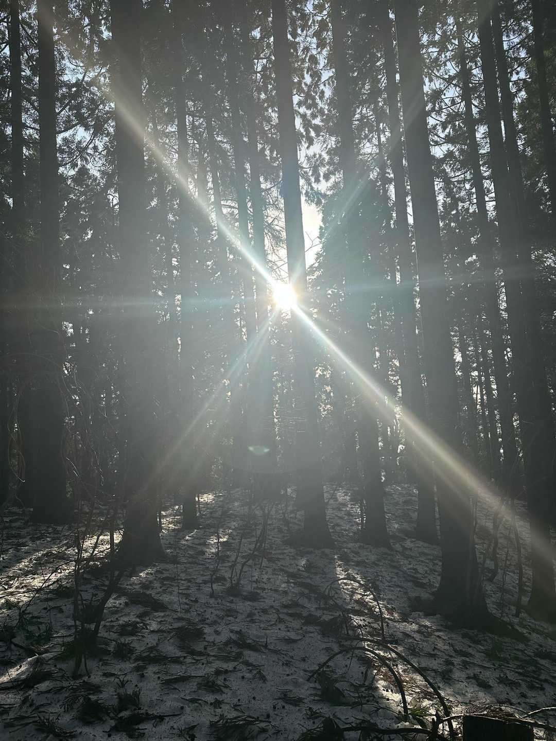 猿毛岳🐒5 / norikoさんの猿毛岳の活動データ | YAMAP / ヤマップ