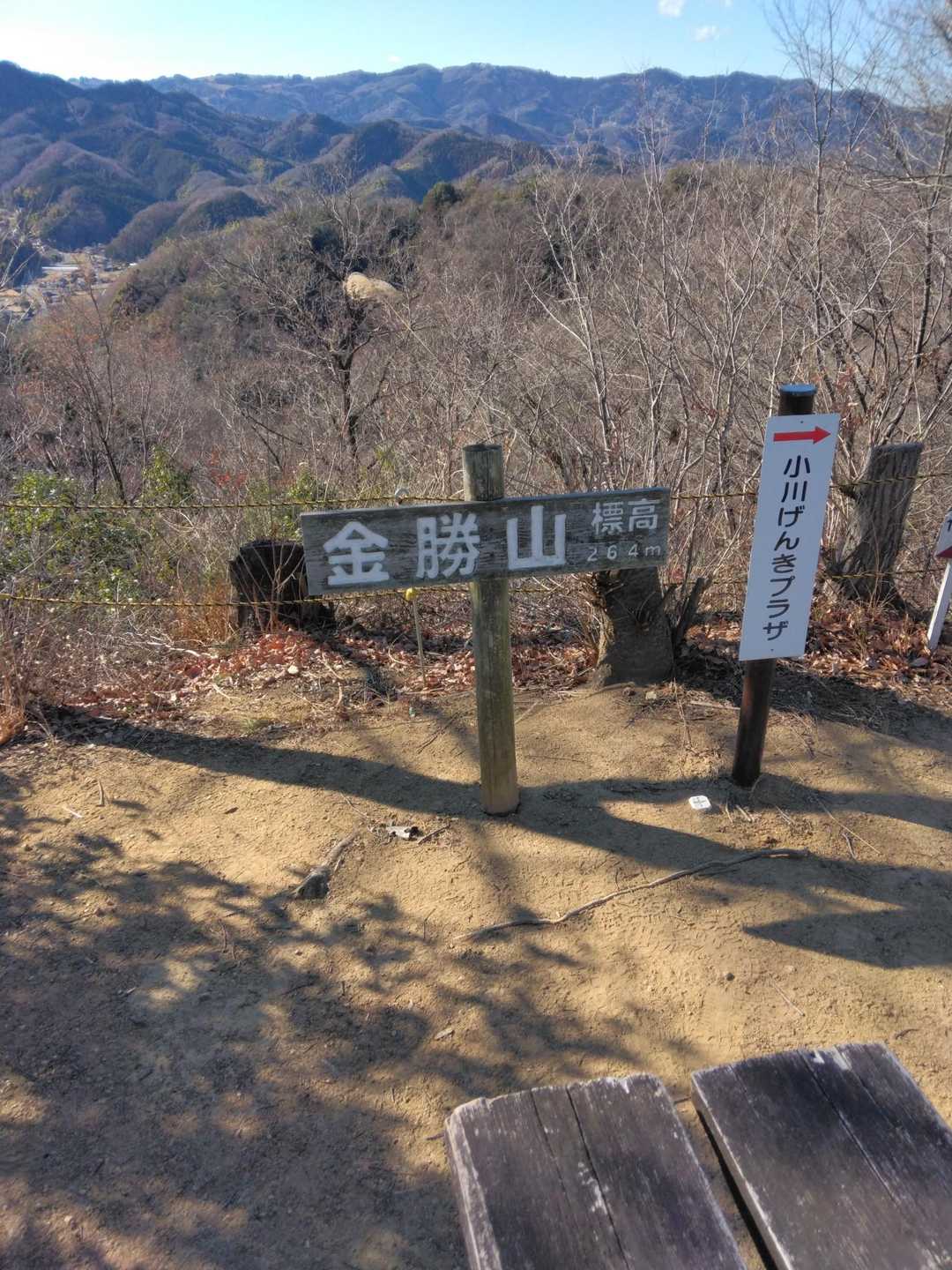 金勝山・裏金勝山・前金勝山・浅間山・西金勝山 / 観光大使さんの官ノ倉山の活動データ | YAMAP / ヤマップ