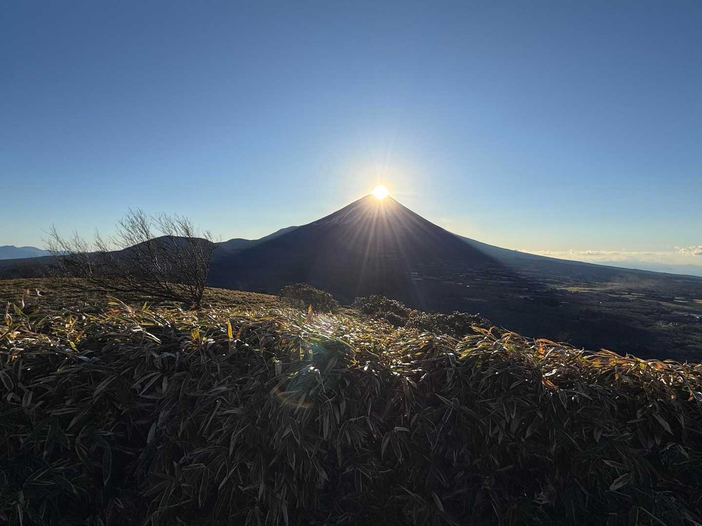 竜ヶ岳・烏帽子岳・パノラマ台・城山 / ikuさんの毛無山・雨ヶ岳・竜ヶ岳の活動データ | YAMAP / ヤマップ