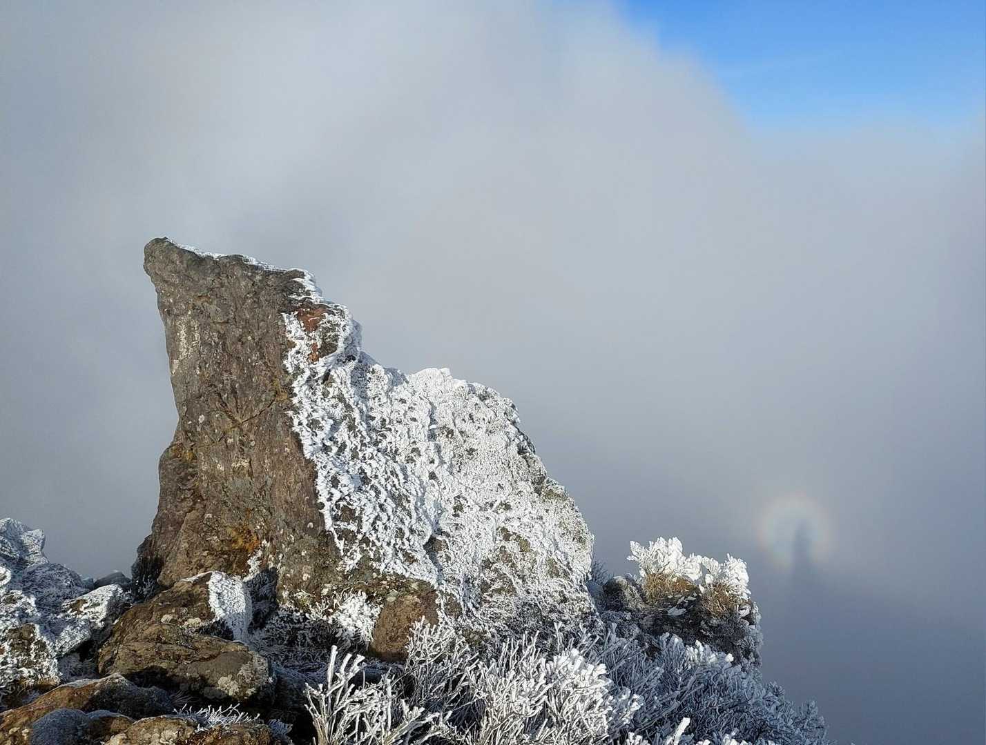 冬至 由布岳 山歩⛰️ / 善 Mt.さんの由布岳・鶴見岳の活動データ | YAMAP / ヤマップ