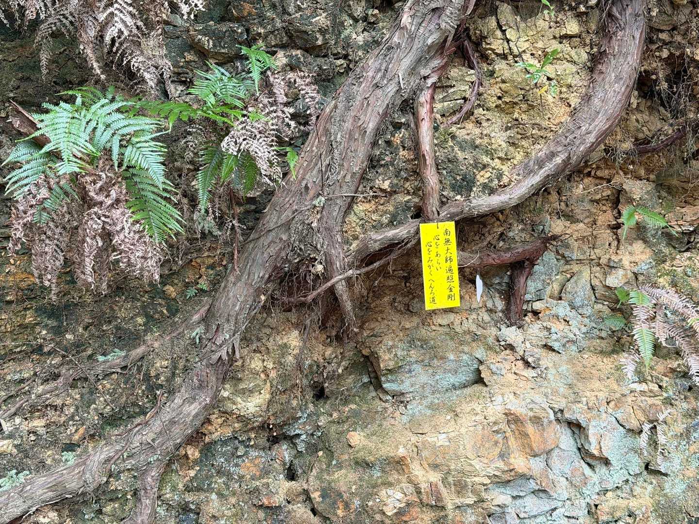 歩き遍路6日目／第20〜22番 / みつをさんの四国遍路その2の活動データ | YAMAP / ヤマップ