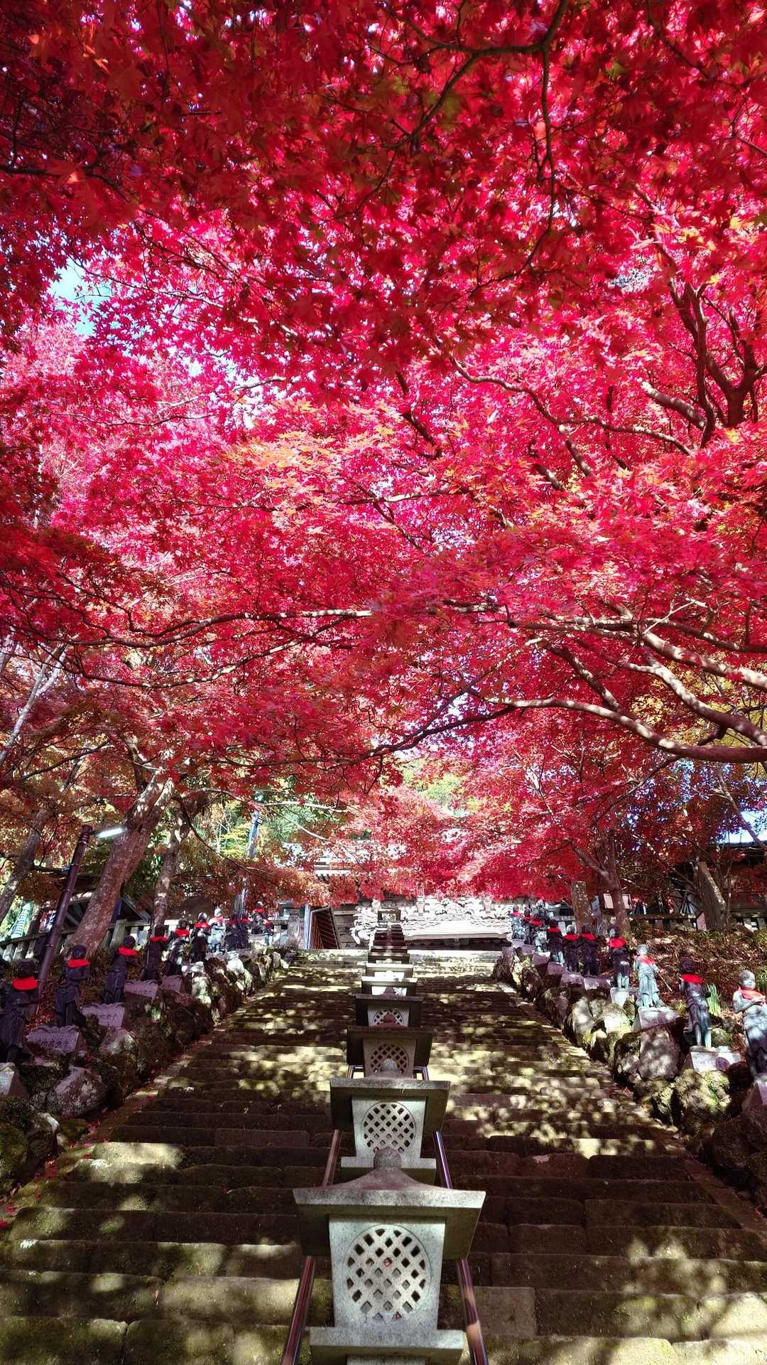 大山 / Mr.Makotoさんの大山の活動データ | YAMAP / ヤマップ