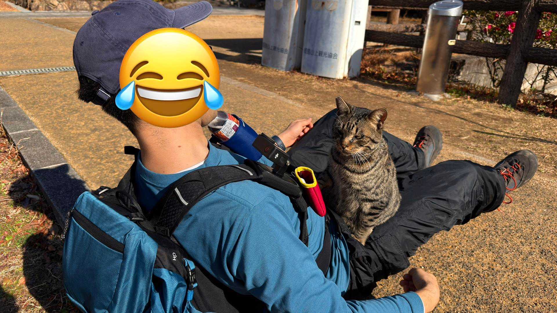 屋島でねこさまの襲撃を受ける🐾💥 / Kyleさんの屋島南嶺・屋島北嶺の活動データ | YAMAP / ヤマップ