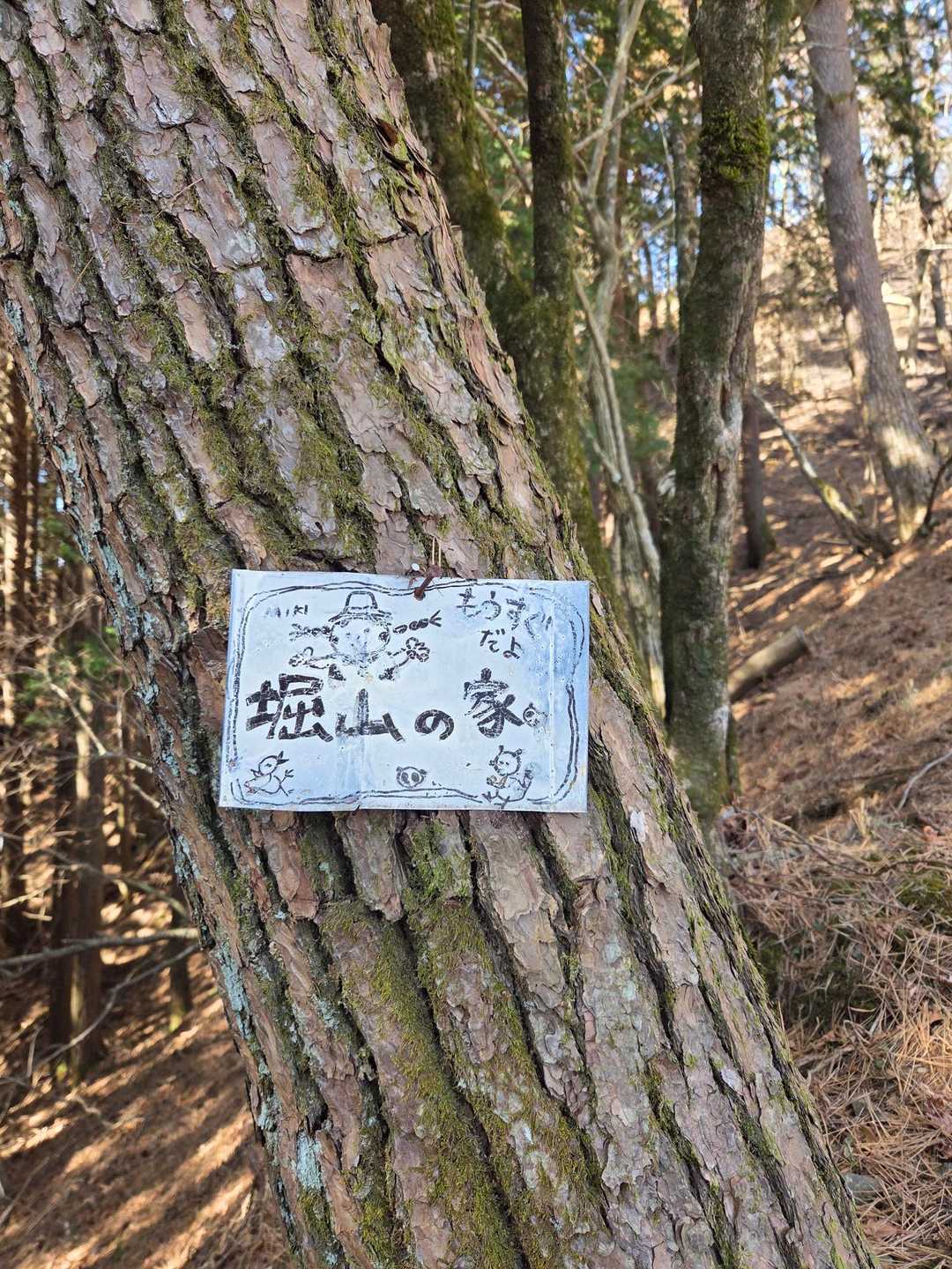 7回目の堀山 / HIROさんの塔ノ岳・丹沢山・蛭ヶ岳の活動データ | YAMAP / ヤマップ