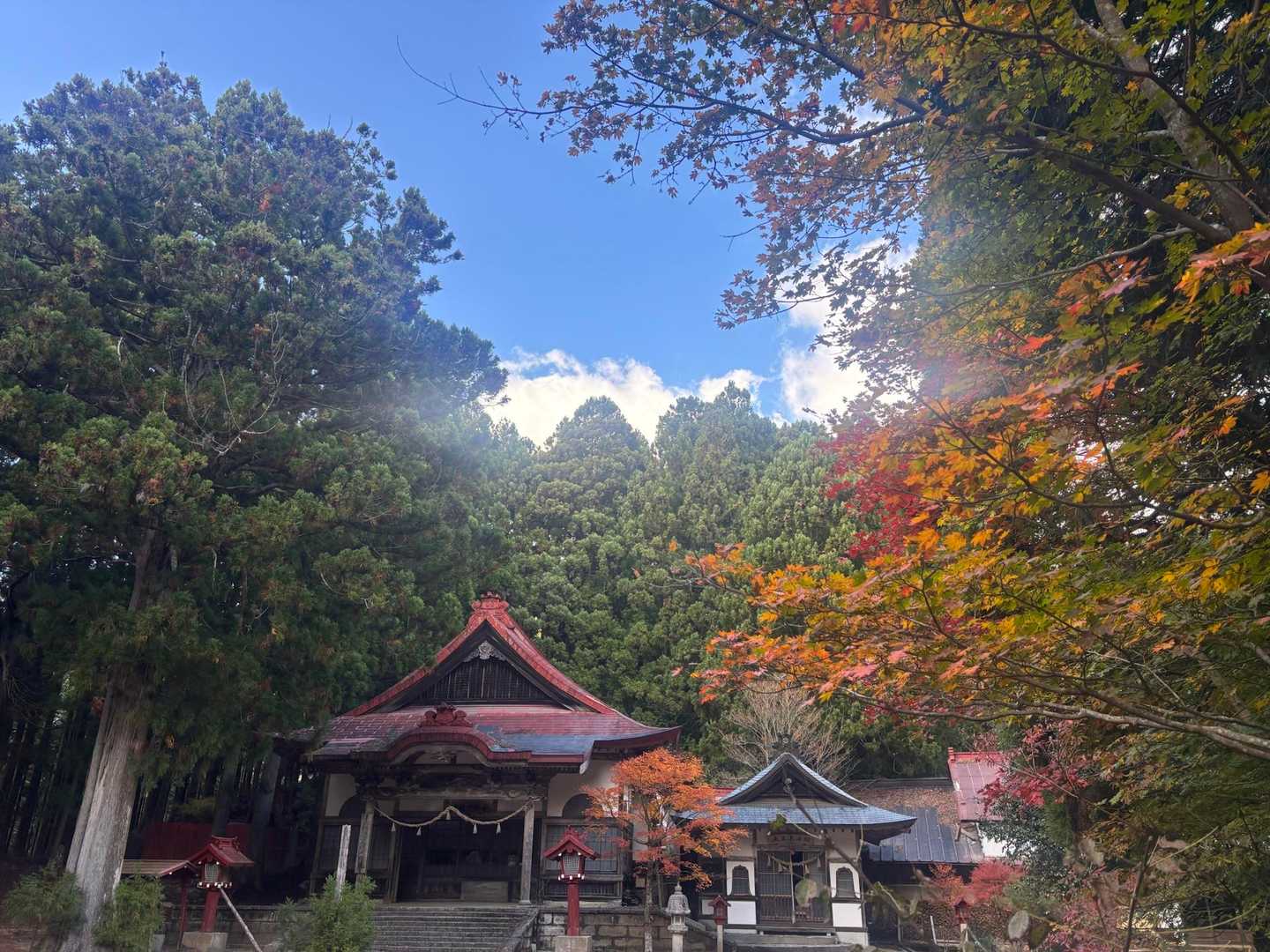 選別と 秋葉山🍂 / Jin.wさんの秋葉山の活動データ | YAMAP / ヤマップ