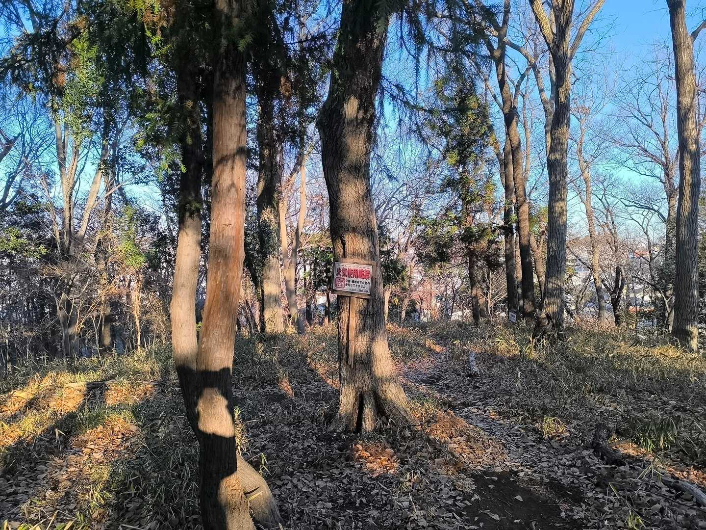 成瀬山・つくし野殿山 / とときさんの鶴見川流域ウォーキングMAP（尾根歩き編）の活動データ | YAMAP / ヤマップ