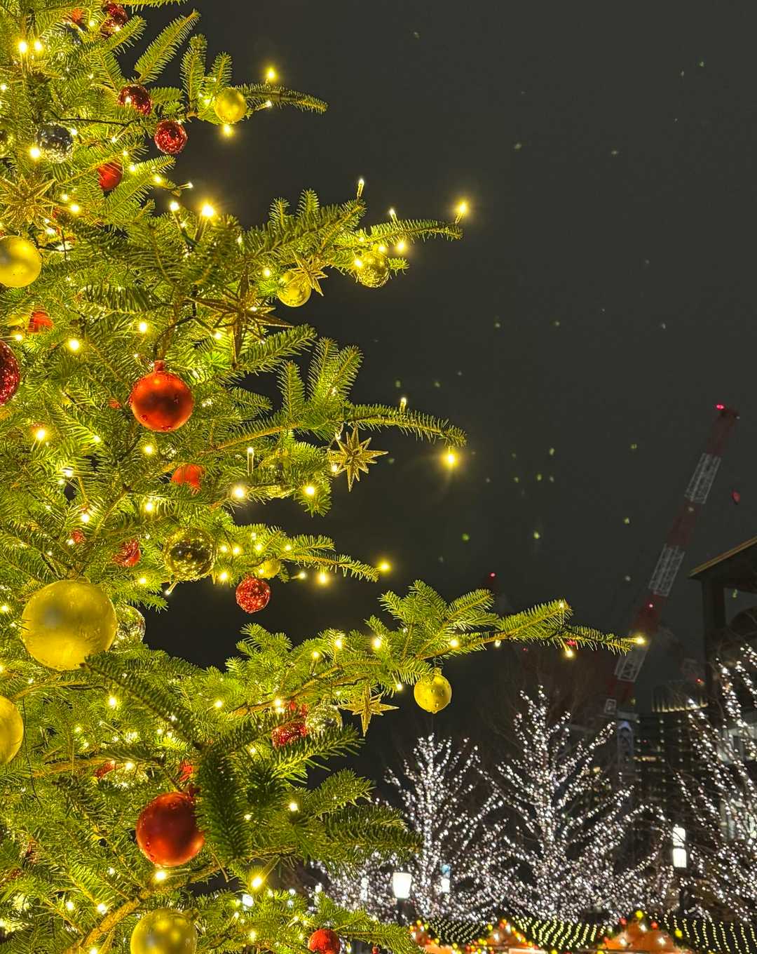 東京小ピーク・イルミネーション巡り🗼 / misiさんの東京都23区 中央エリアの活動データ | YAMAP / ヤマップ