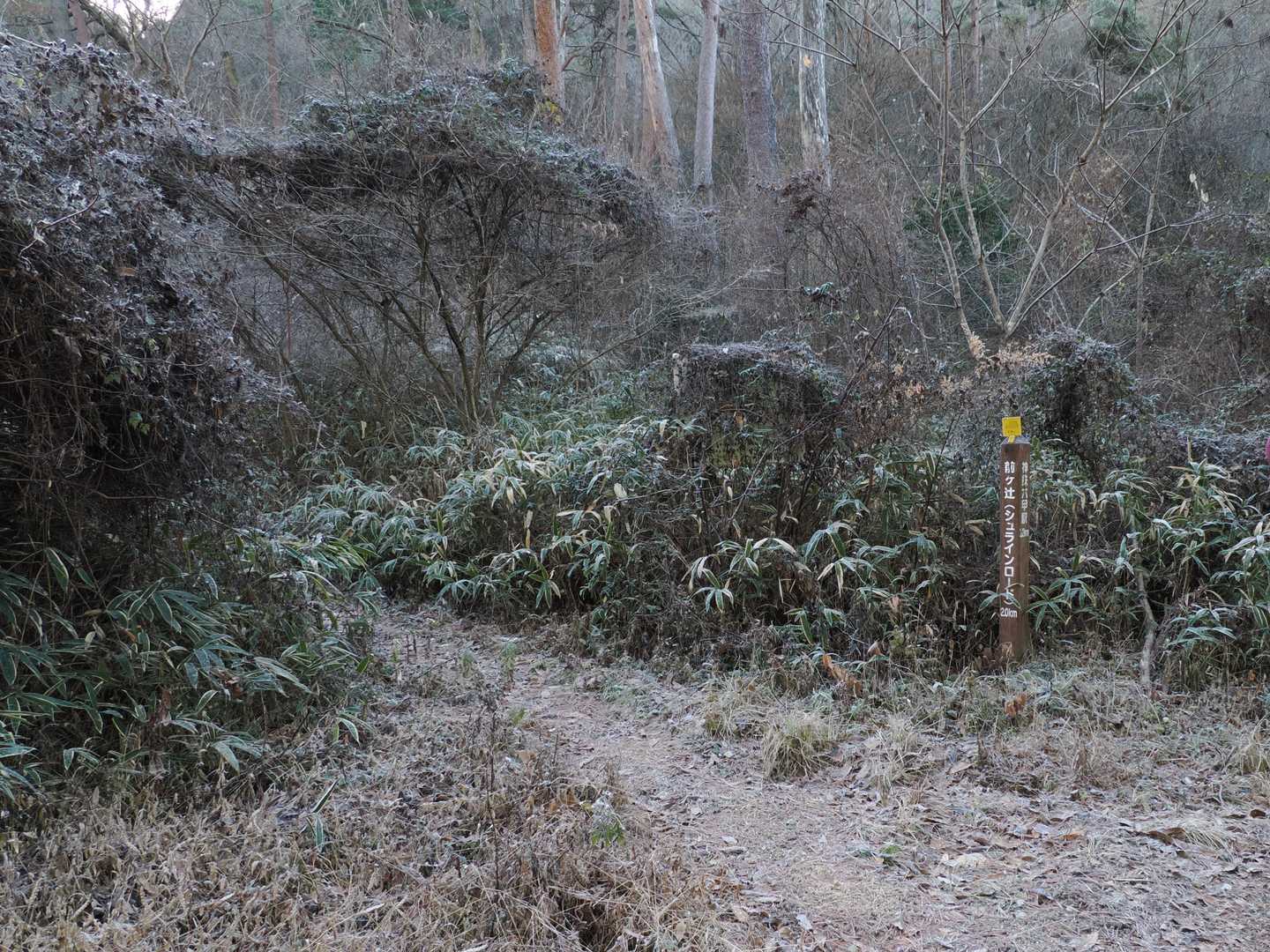 「霧氷を見たくて」シュラインロードへ / kozza（こざ）しばらくYA MAP休止中zzzさんの六甲山・長峰山・摩耶山の活動データ ...
