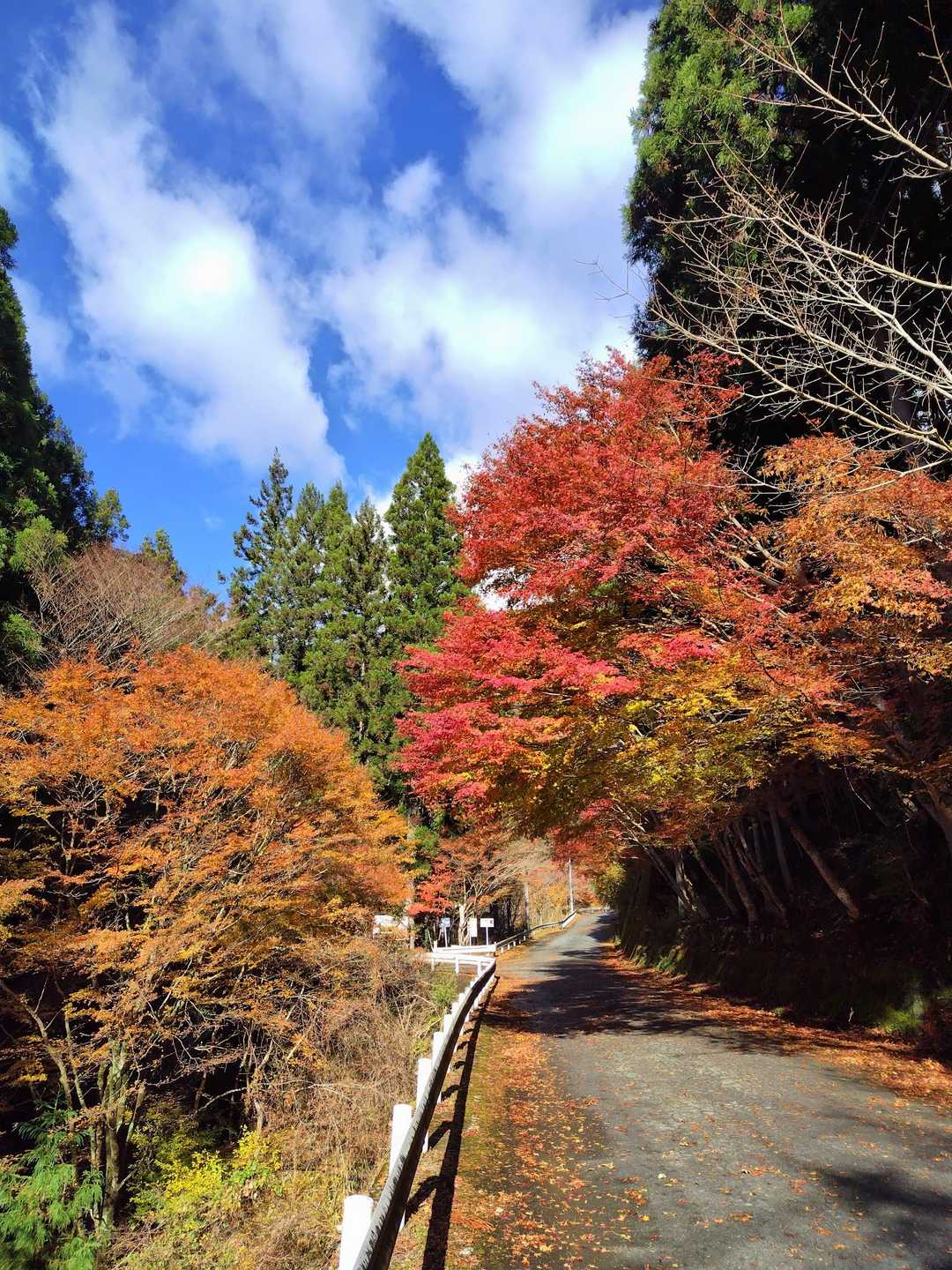 白倉山 / CB-Genさんの白倉山の活動データ | YAMAP / ヤマップ