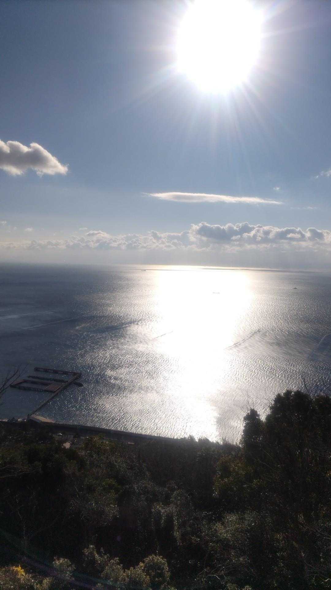 鉢伏山・旗振山・鉄拐山・高倉山・栂尾山・横尾山・東山 / FUMIさんの六甲山・長峰山・摩耶山の活動データ | YAMAP / ヤマップ