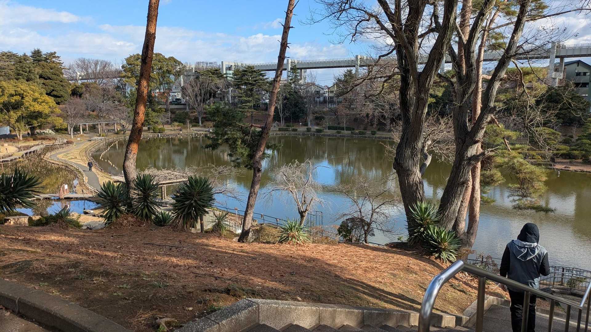 千葉公園の荒木山 / 山登りDaisukeさんの千葉市の活動データ | YAMAP / ヤマップ