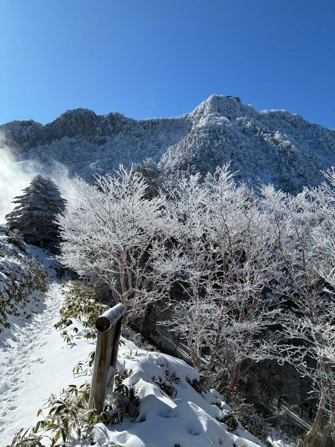 初詣 石鎚山 / タカさんの石鎚山・堂ヶ森・二ノ森の活動データ | YAMAP / ヤマップ