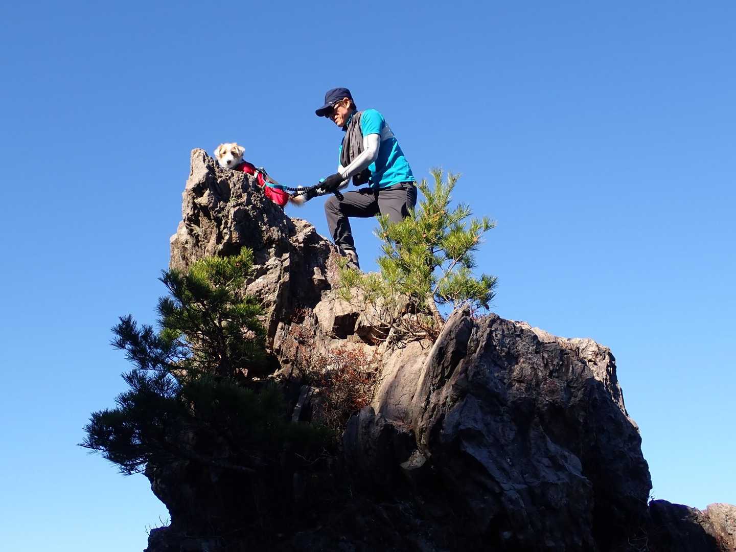 ワンコ🐶と医王山 滝〜鳶岩〜白兀山 / yosswiさんの医王山・白兀山・箱屋谷山の活動データ | YAMAP / ヤマップ