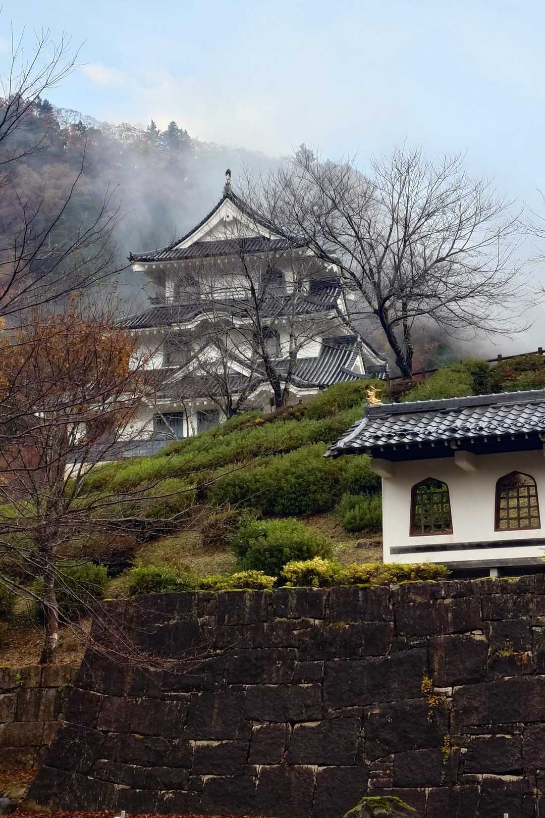 小津権現山・花房山-2025-11-26 / F.銀次郎さんの小津権現山・花房山の活動データ | YAMAP / ヤマップ