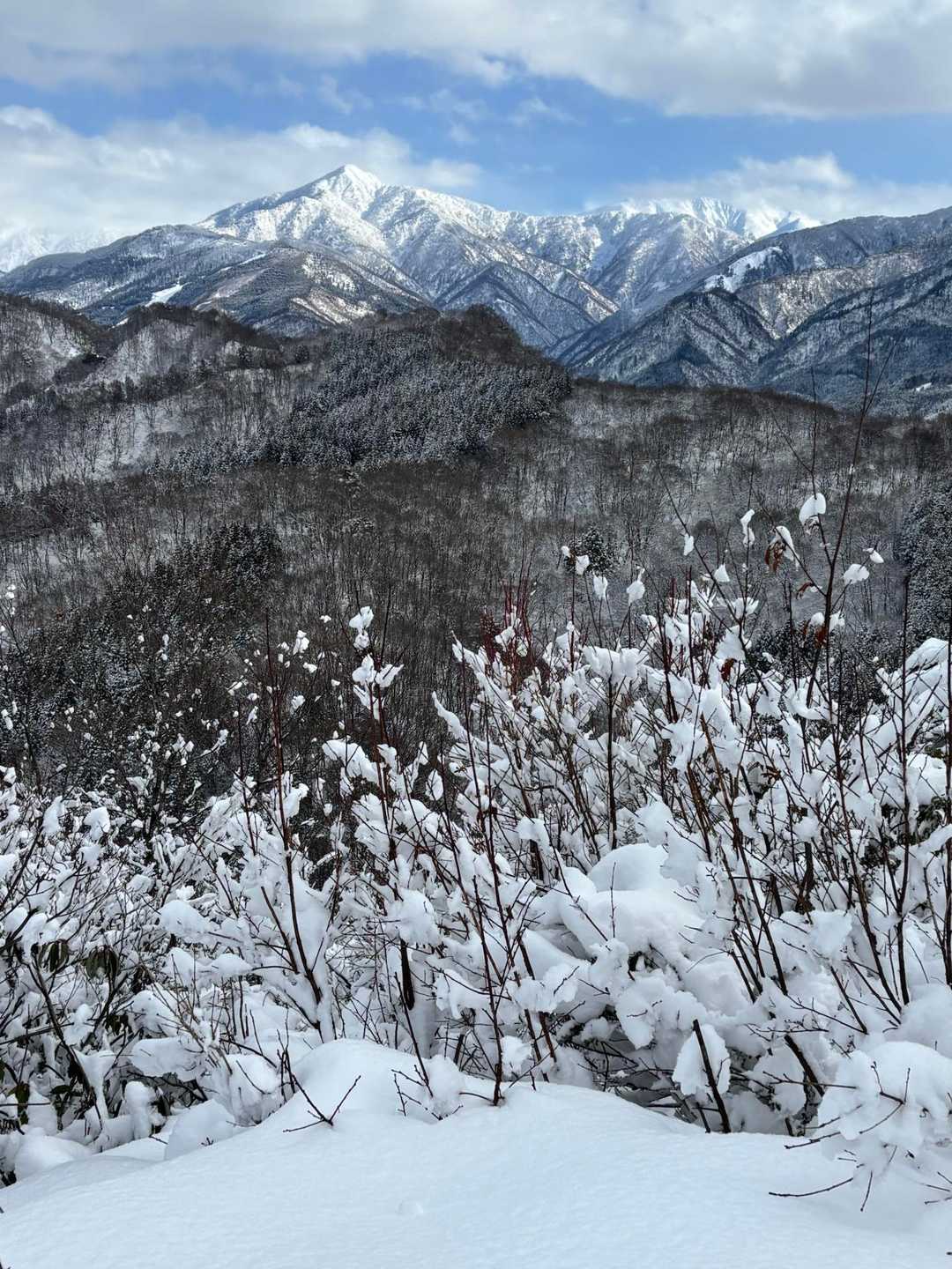 尖山 / mierinさんの尖山の活動データ | YAMAP / ヤマップ