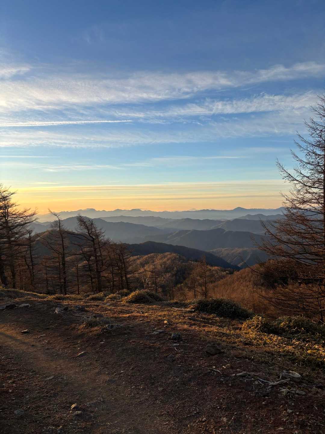 ヨモギノ頭・小雲取山・雲取山 / よねこさんの雲取山・鷹ノ巣山・七ツ石山の活動データ | YAMAP / ヤマップ