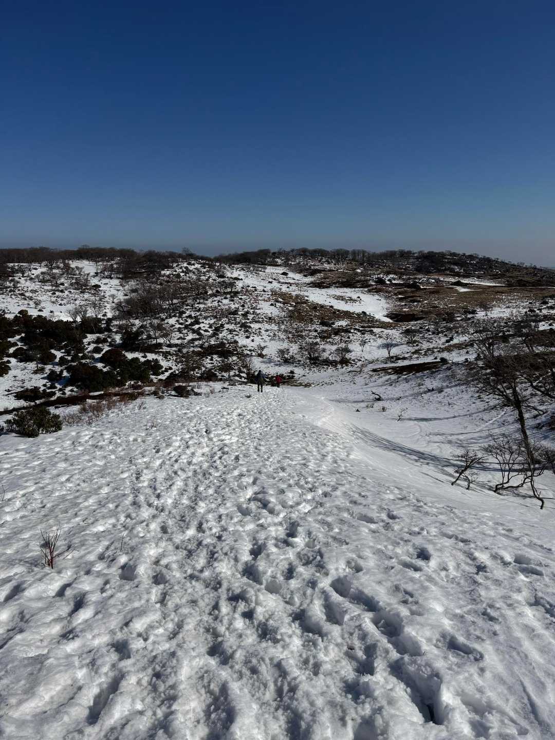 藤原岳 / Hiro さんの藤原岳・御池岳の活動データ | YAMAP / ヤマップ