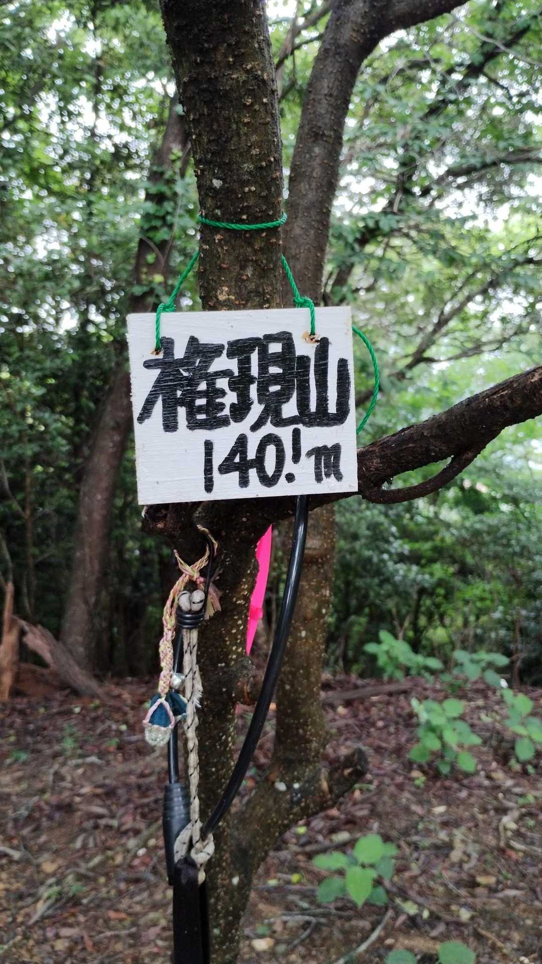 前山・雛山・権現山・塚黒山・北山奥山・北山・稲冨山・X山 / ぱぱくんさんの天下台山・嫦峨山の活動データ | YAMAP / ヤマップ