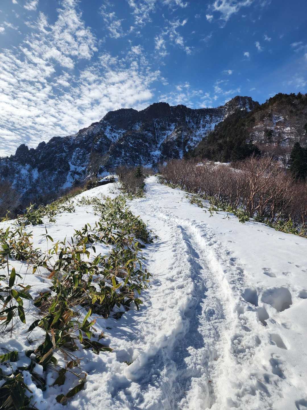 石鎚山〜成就社ルート / YAMA.ALPSさんの石鎚山・堂ヶ森・二ノ森の活動データ | YAMAP / ヤマップ
