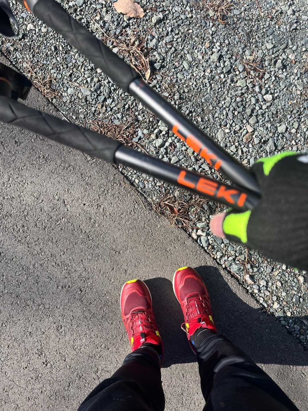 西岳・南岳・女岳（雌岳）・姫御前岳・男岳（雄岳） / おかしんさんの星塚山・スガ岳・姫御前岳の活動データ | YAMAP / ヤマップ