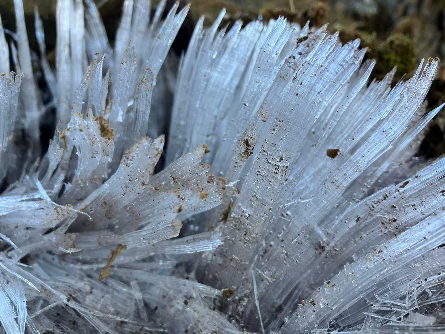 大山 / ROKUさんの大山の活動データ | YAMAP / ヤマップ