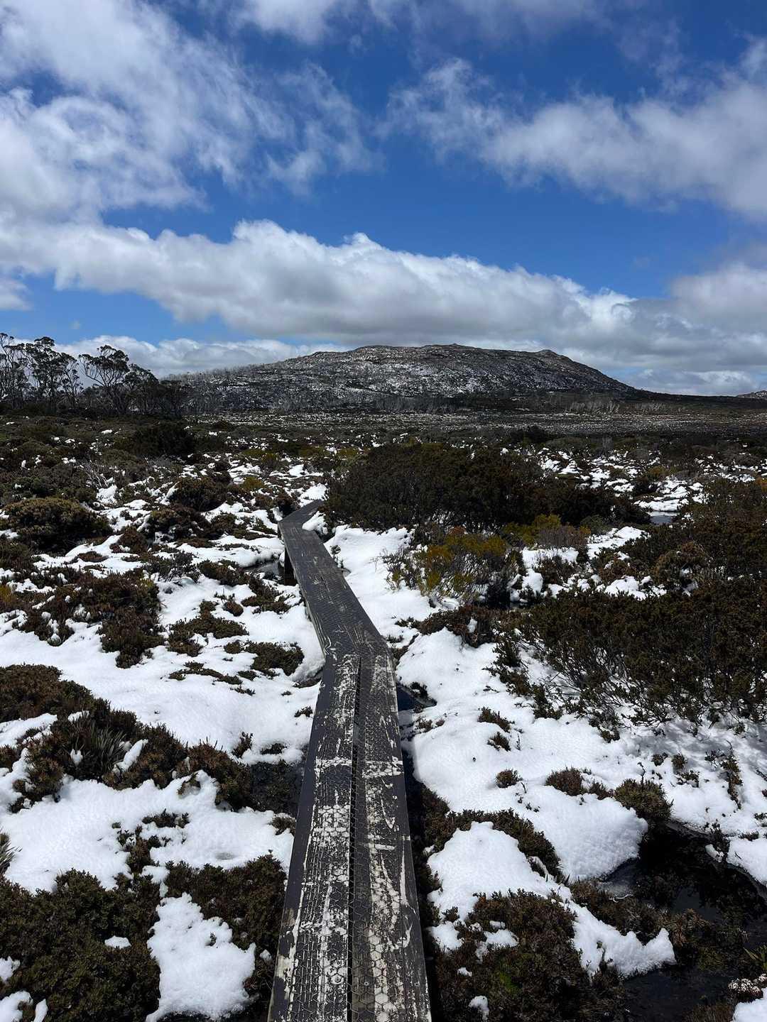 Mount Field East / sakiさんのウェスタンアーサーズ・トラバースの活動データ | YAMAP / ヤマップ