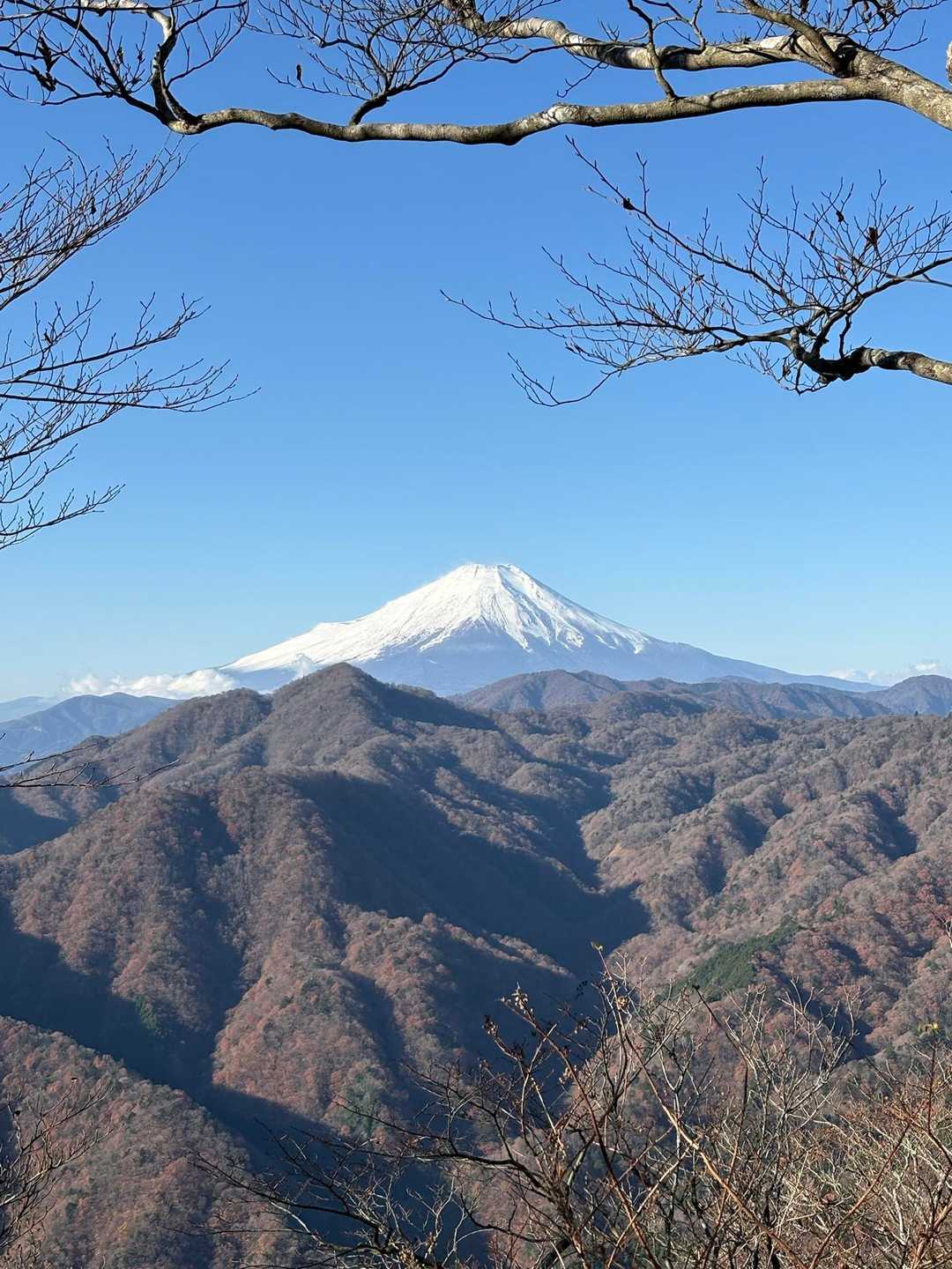 大室山・加入道山 / あでこさんの大室山・畦ヶ丸・菰釣山の活動データ | YAMAP / ヤマップ