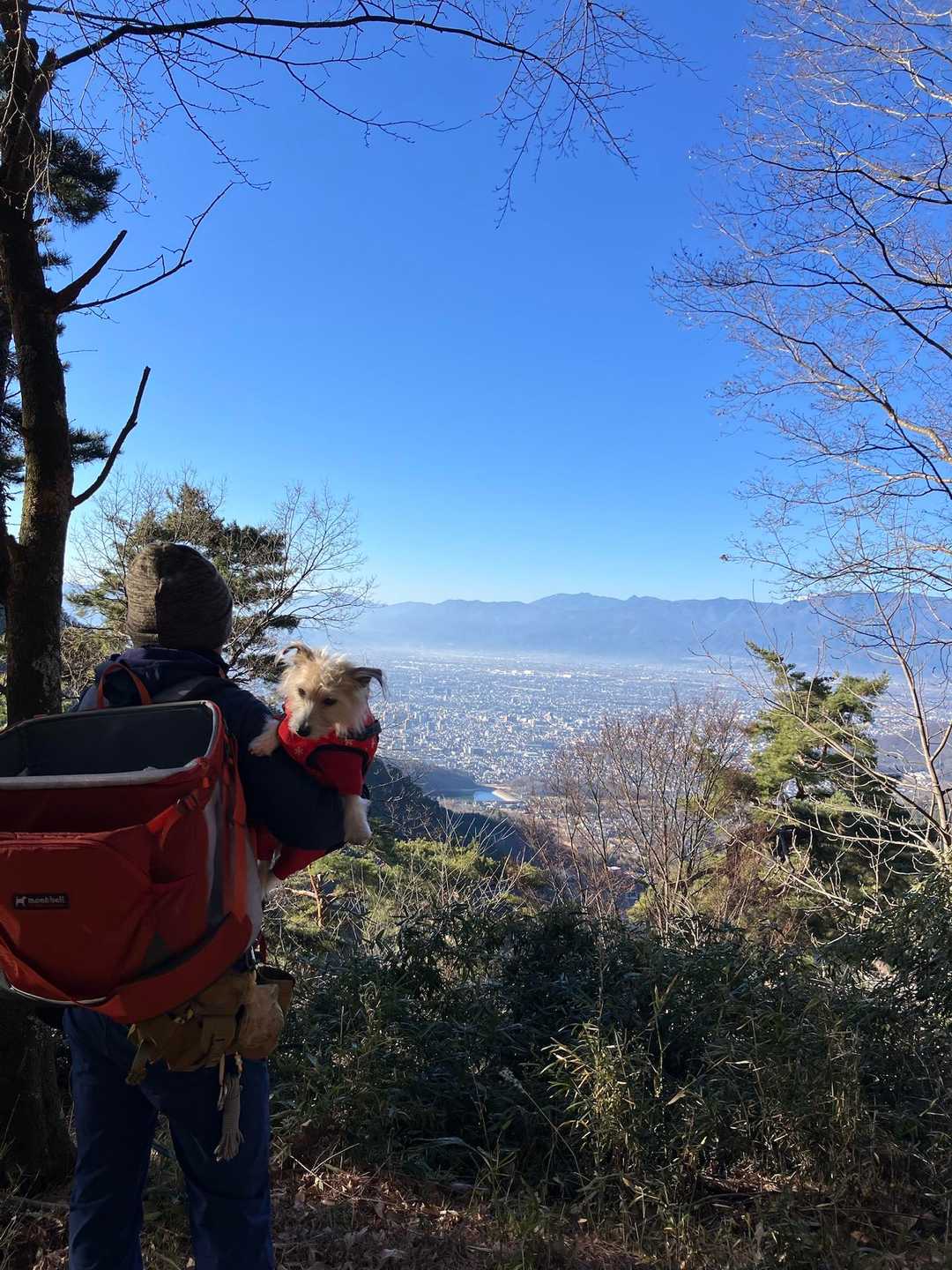 要害山（丸山）山梨100名山66座目 / てつももさんの要害山・兜山・大蔵経寺山の活動データ | YAMAP / ヤマップ