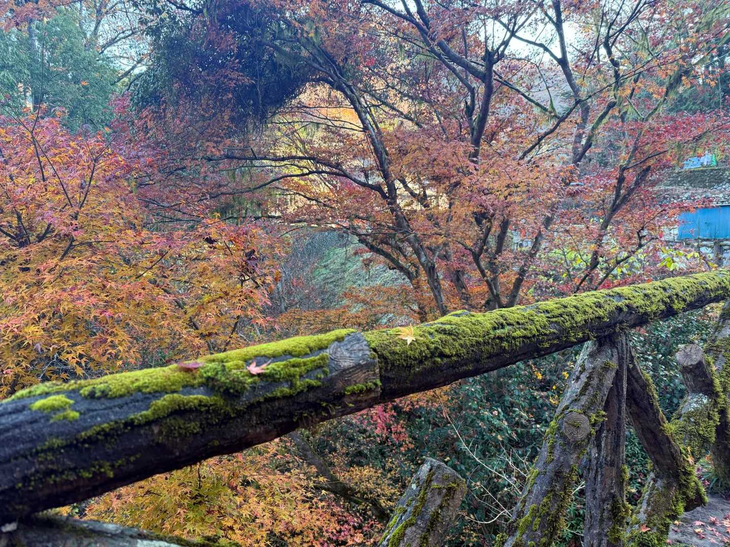 浅間嶺 / ヒロキさんの浅間嶺・松生山の活動データ | YAMAP / ヤマップ