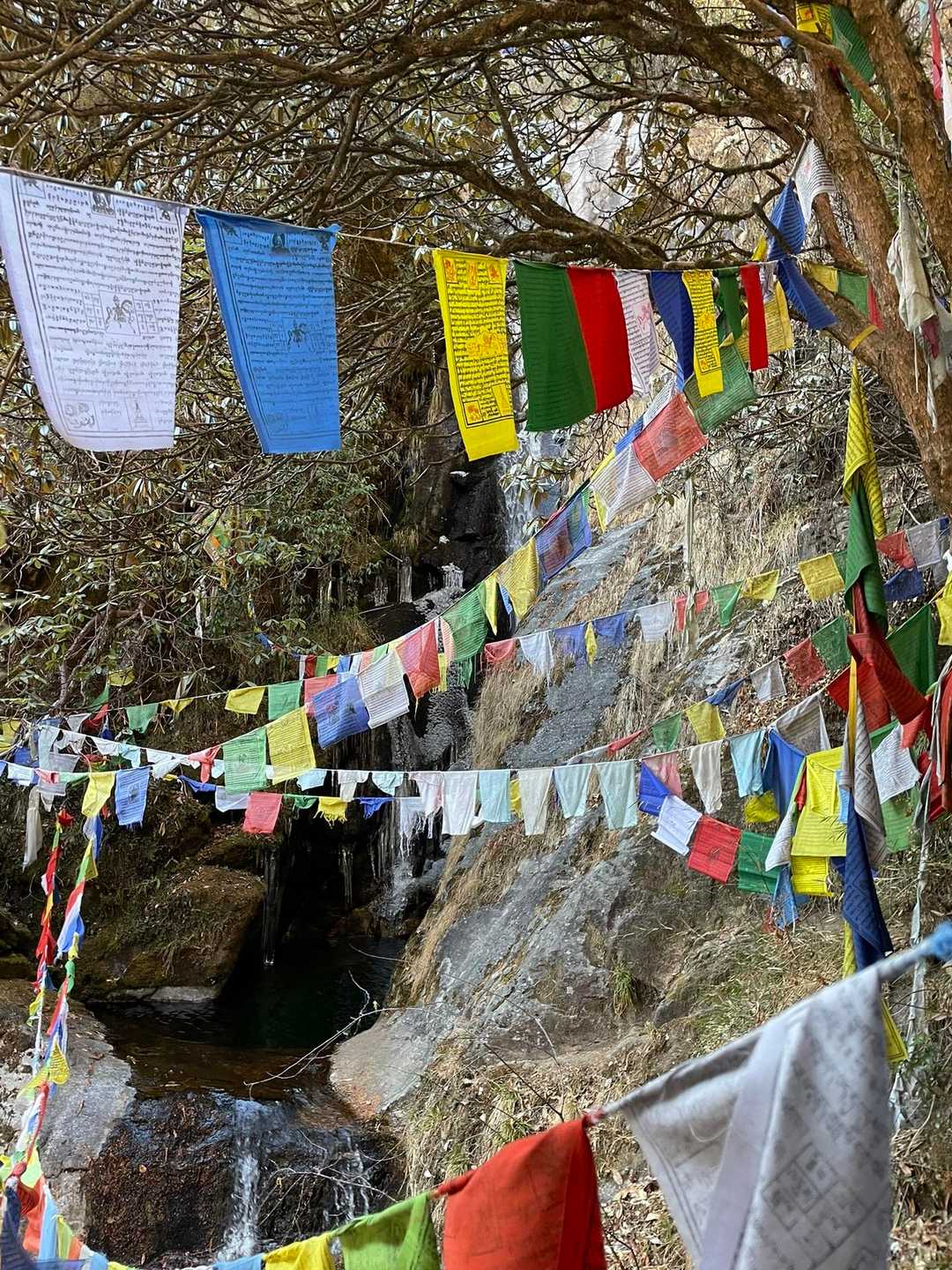 Chumphu Nye-2023-01-21 / sakuraさんの登山の活動データ | YAMAP / ヤマップ
