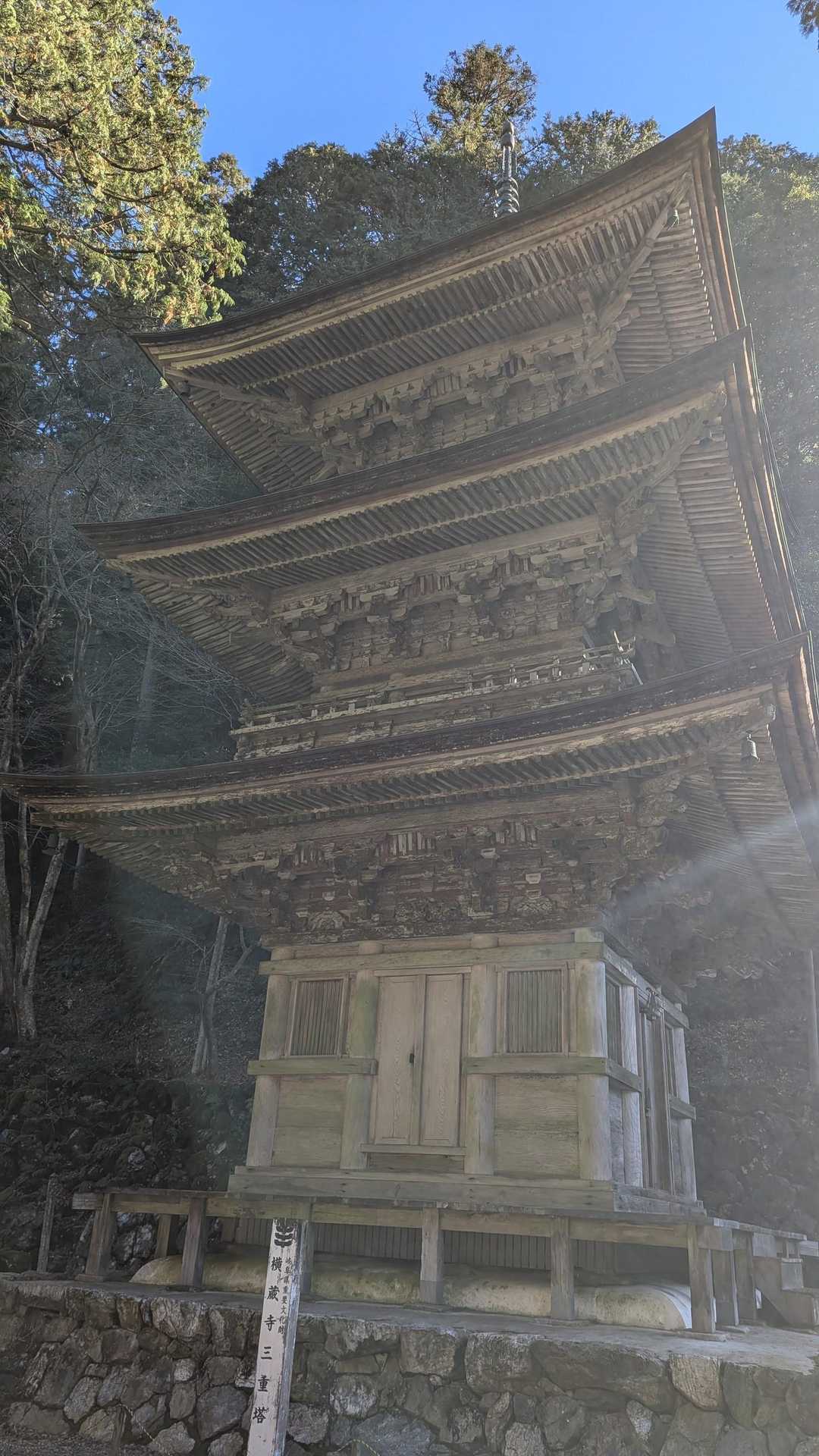 昨日ですが…日中陽射しが暖かくお出かけ日... / りょうさんのモーメント | YAMAP / ヤマップ