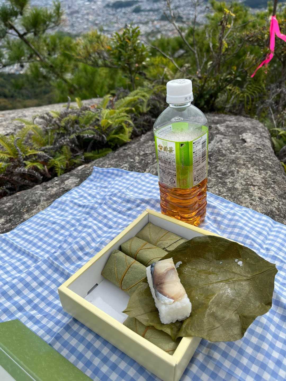 火山でランチ🍣😋 / masaikeさんの広島南アルプス（武田山・三滝山・鈴ヶ峰）の活動データ | YAMAP / ヤマップ