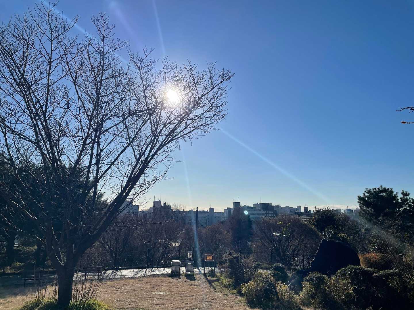 西郷山で、西に傾きつつあるお日様を見ながら何を思ふ😇 / ラムもふ。さんのTokyo Tree Trek (Section 2)の活動データ ...
