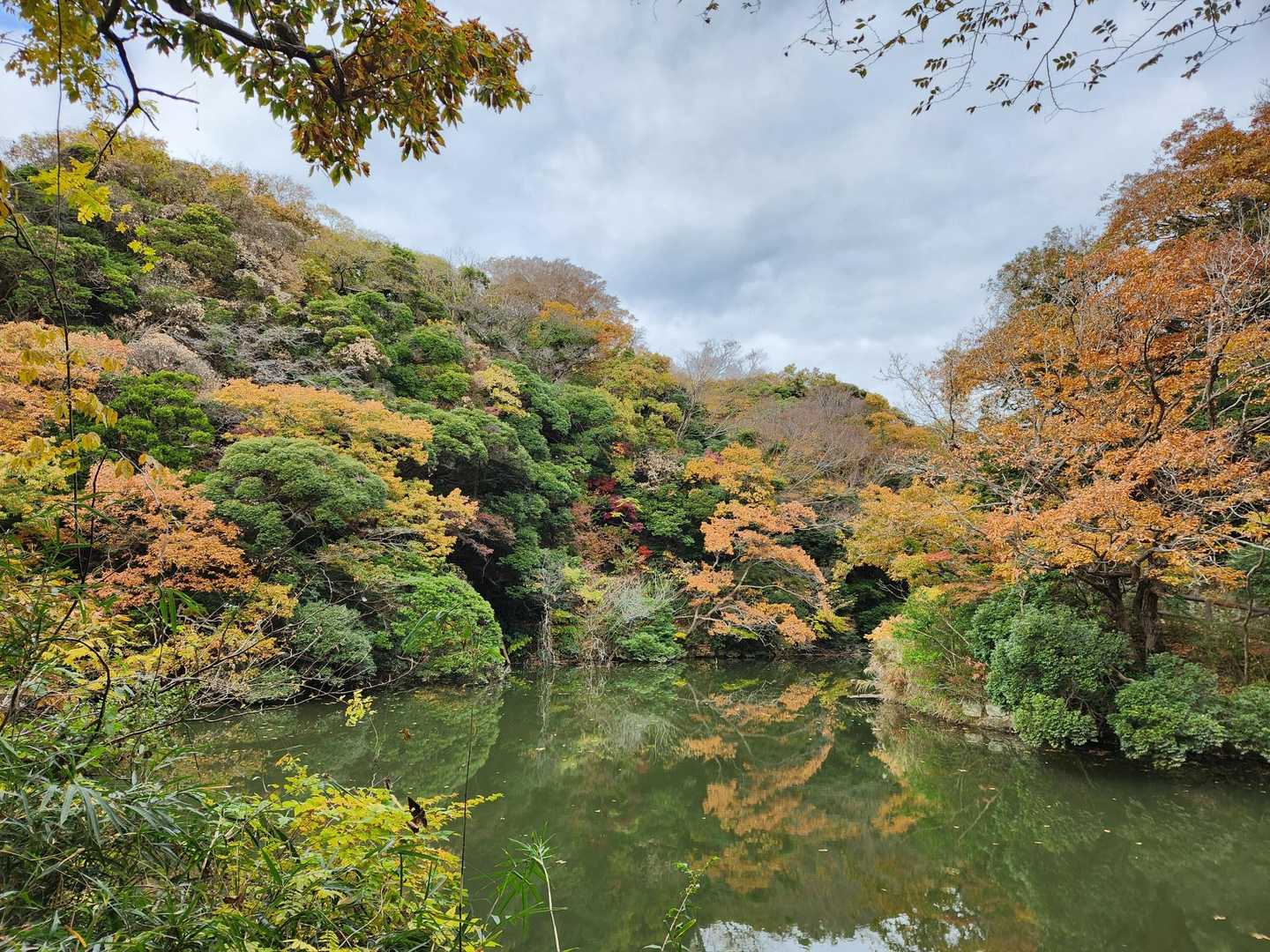 紅葉の鎌倉アルプス〜大船駅⇒逗子駅 / まろさんの鎌倉アルプス（大平山・天台山）の活動データ | YAMAP / ヤマップ