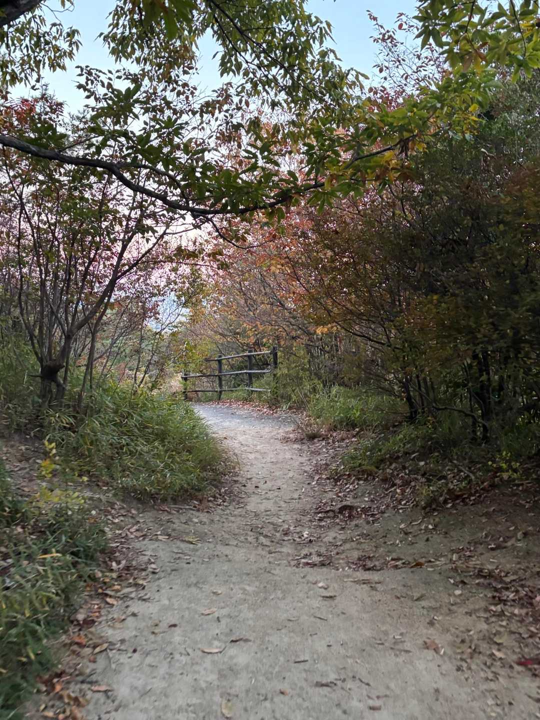 甲山 / もにきーたさんの六甲山・長峰山・摩耶山の活動データ | YAMAP / ヤマップ