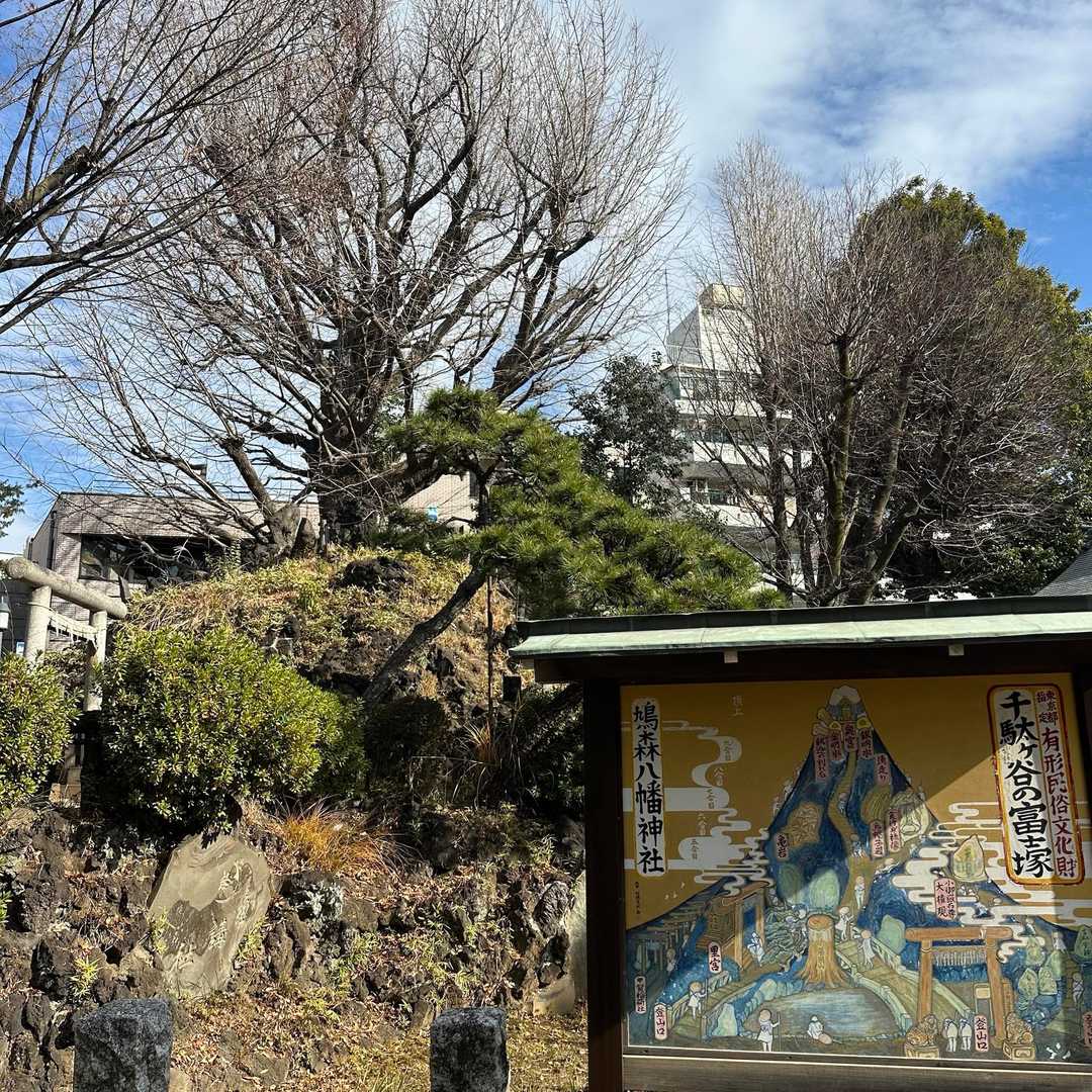 2026年 Tokyo Tree Trek （Section 1 - 3） / あきのんさんのTokyo Tree Trek (Section ...