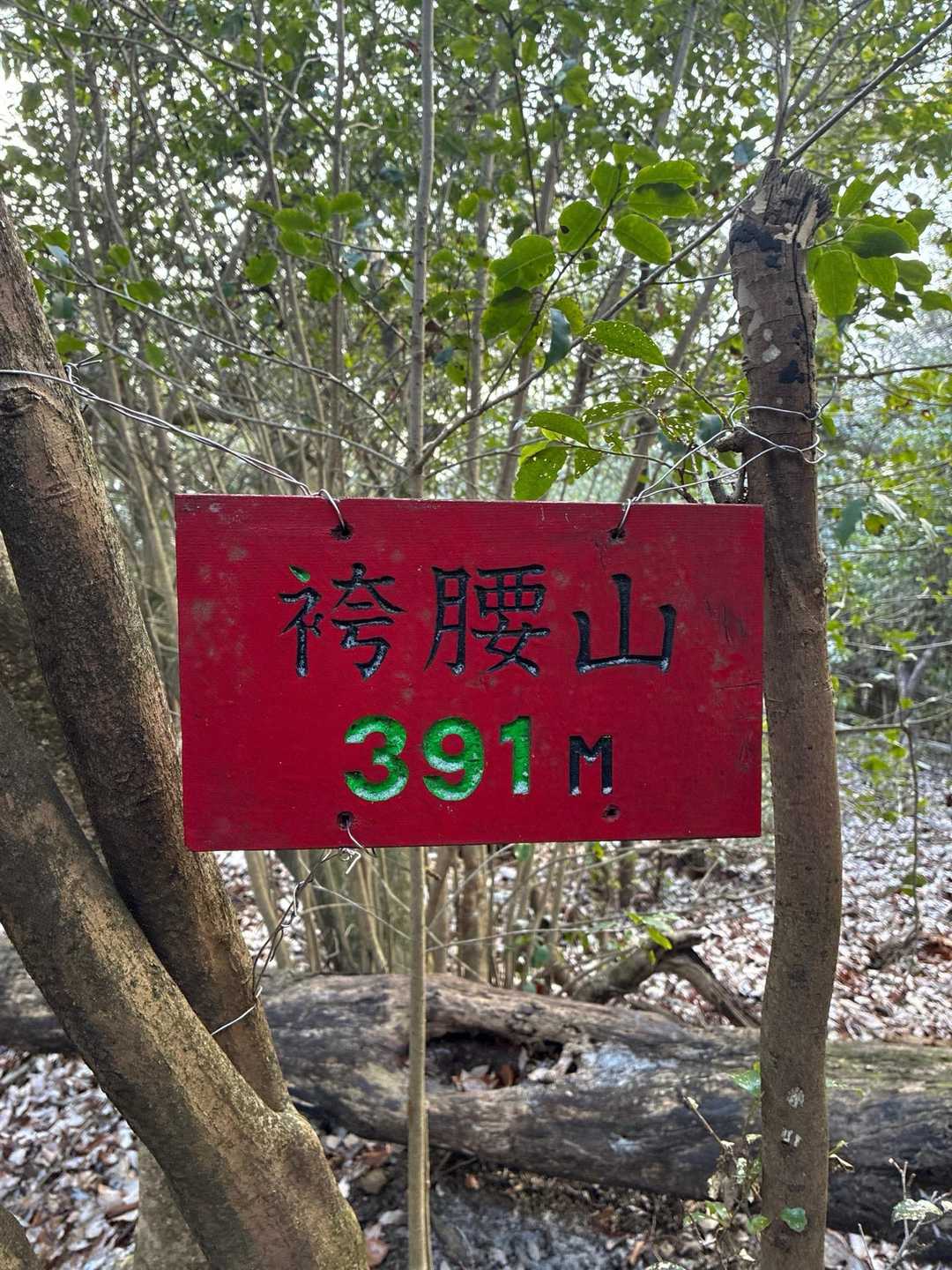 立木山・袴腰山 / cocoaさんの立木山・袴腰山の活動データ | YAMAP / ヤマップ