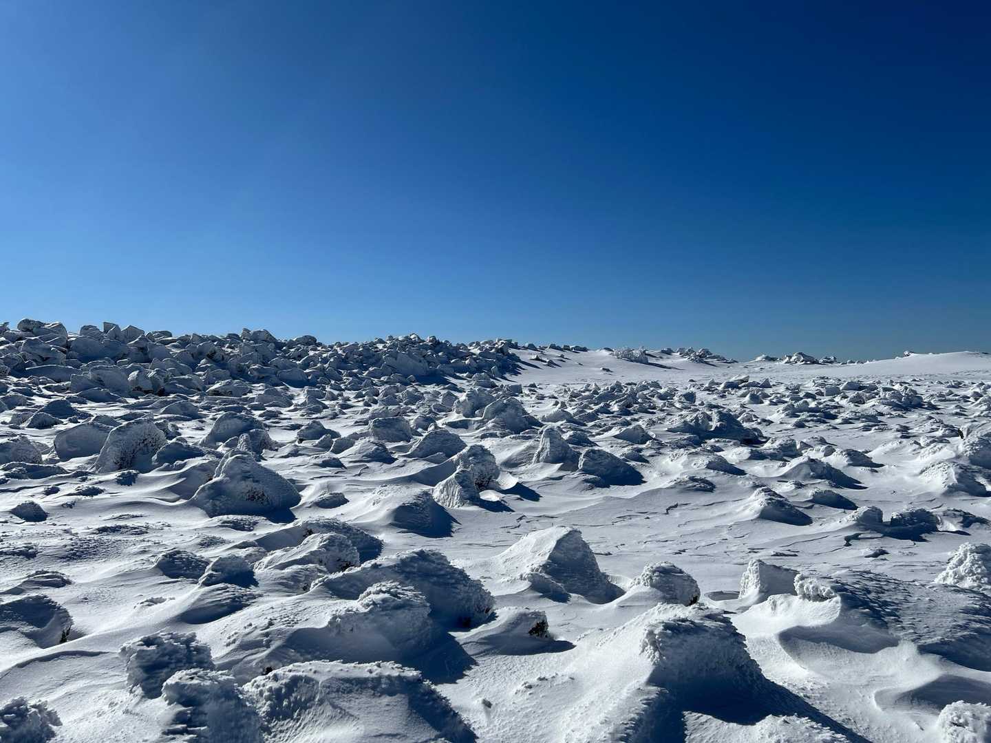 アルプスview蓼科山 / ぽっちさんの蓼科山・横岳・縞枯山の活動データ | YAMAP / ヤマップ