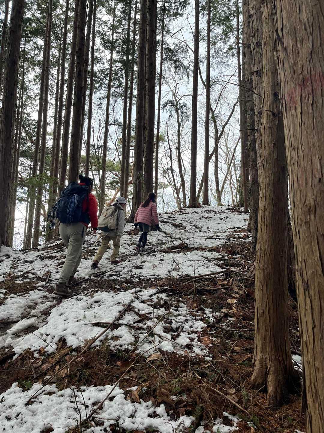 yukaとkidsと榛名山・男山 / Aiさんの篠井富屋連峰（宇都宮アルプス）の活動データ | YAMAP / ヤマップ