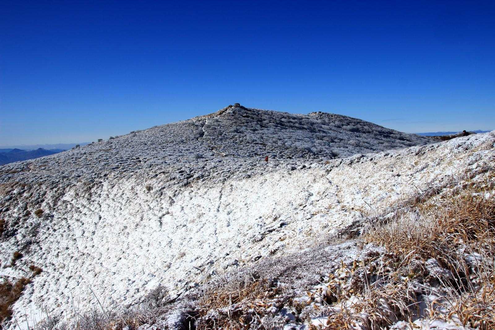 くじゅうブルーと霧氷 / うらさんの九重山（久住山）・大船山・星生山の活動データ | YAMAP / ヤマップ